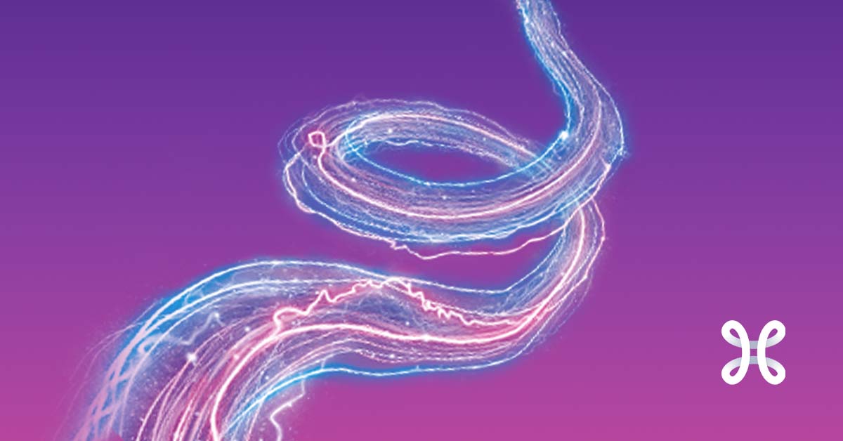 Avec la fibre, le futur arrive à Wemmel | Proximus